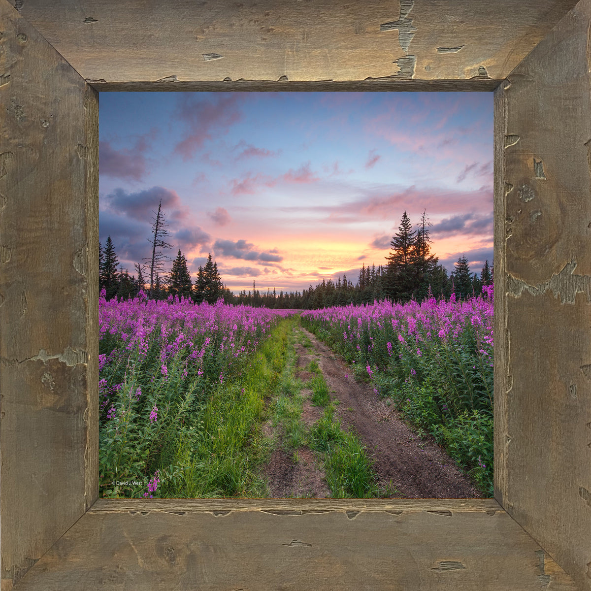 Pathway to Eternity Square – David J. West Gallery