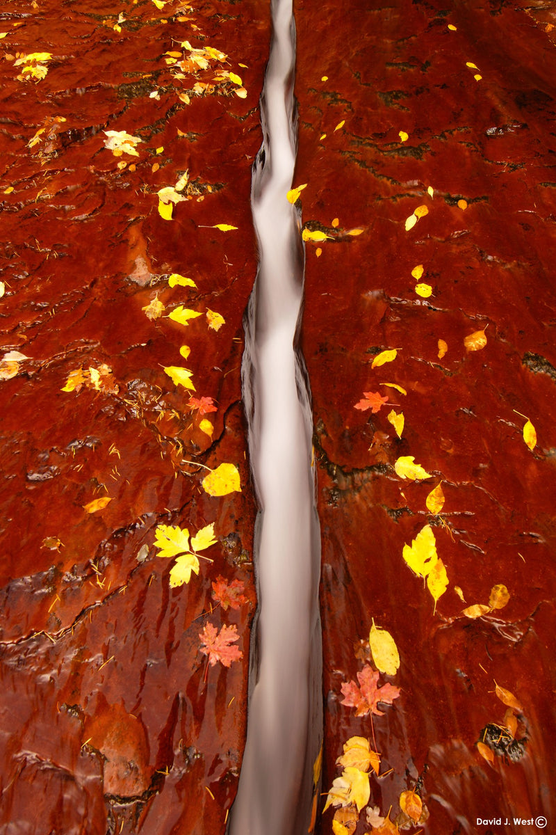 WATER CARVING – David J. West Gallery