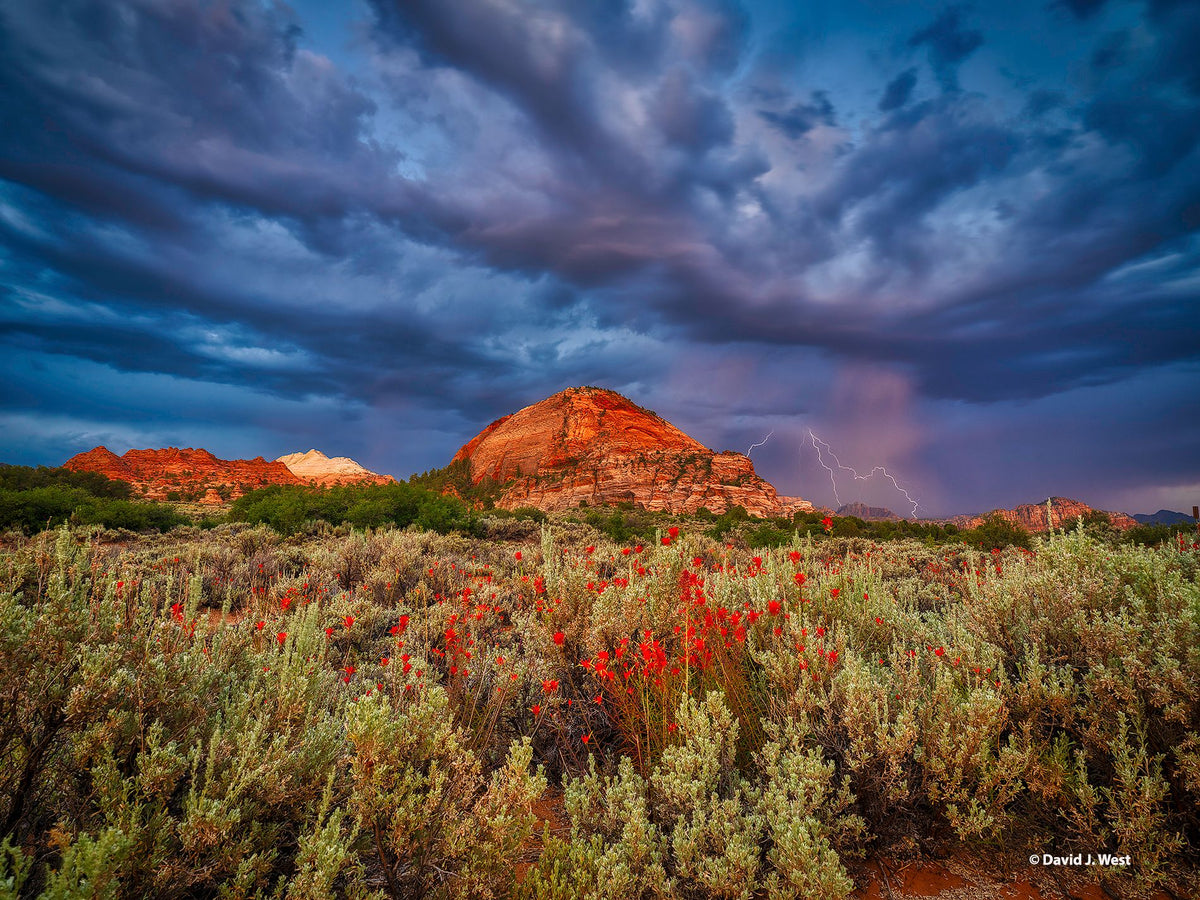 ZION LIGHTNING – David J. West Gallery