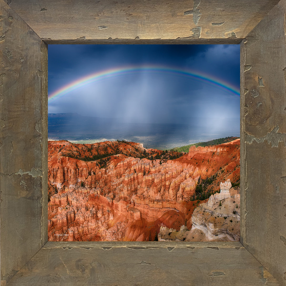 Bryce Rainbow Square – David J. West Gallery