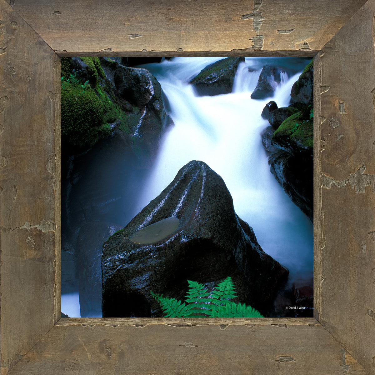 Avalanche Creek Square – David J. West Gallery
