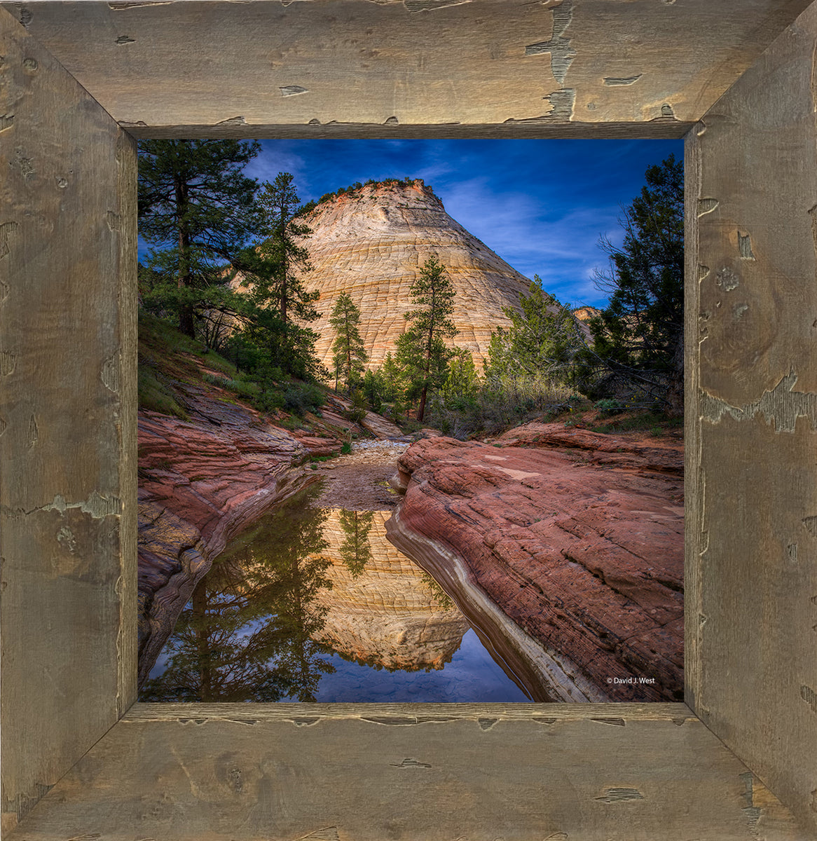 Checkerboard Reflection Square – David J. West Gallery