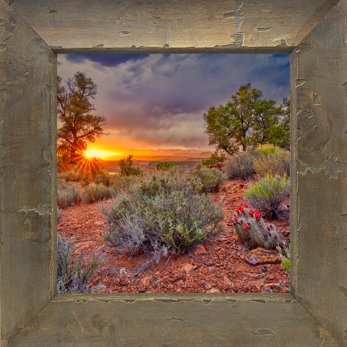 Desert Sunset Square – David J. West Gallery