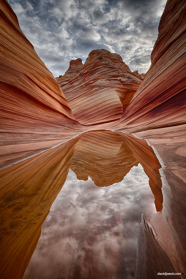 GENSHAI REFLECTIONS – David J. West Gallery