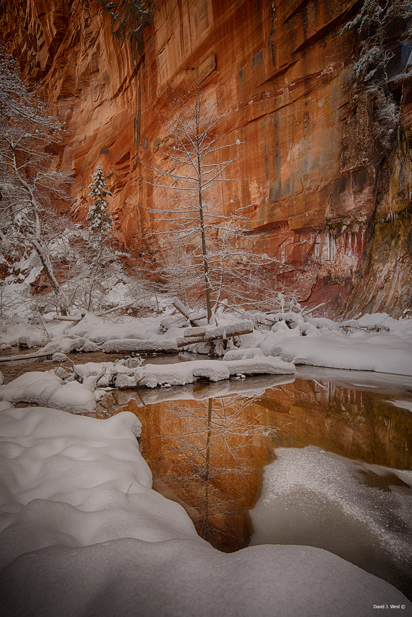 SEDONA REFLECTION – David J. West Gallery