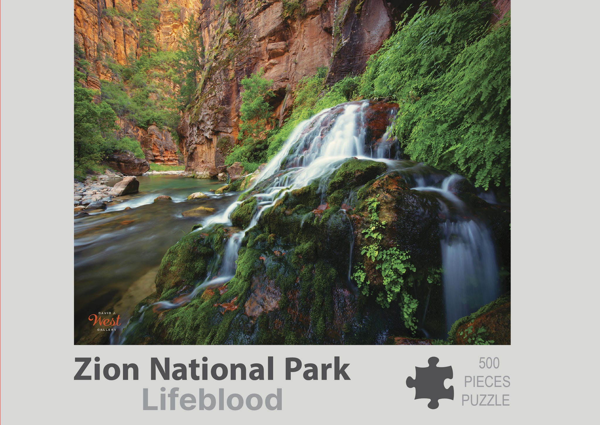 Zion Puzzle - Lifeblood 500 – David J. West Gallery