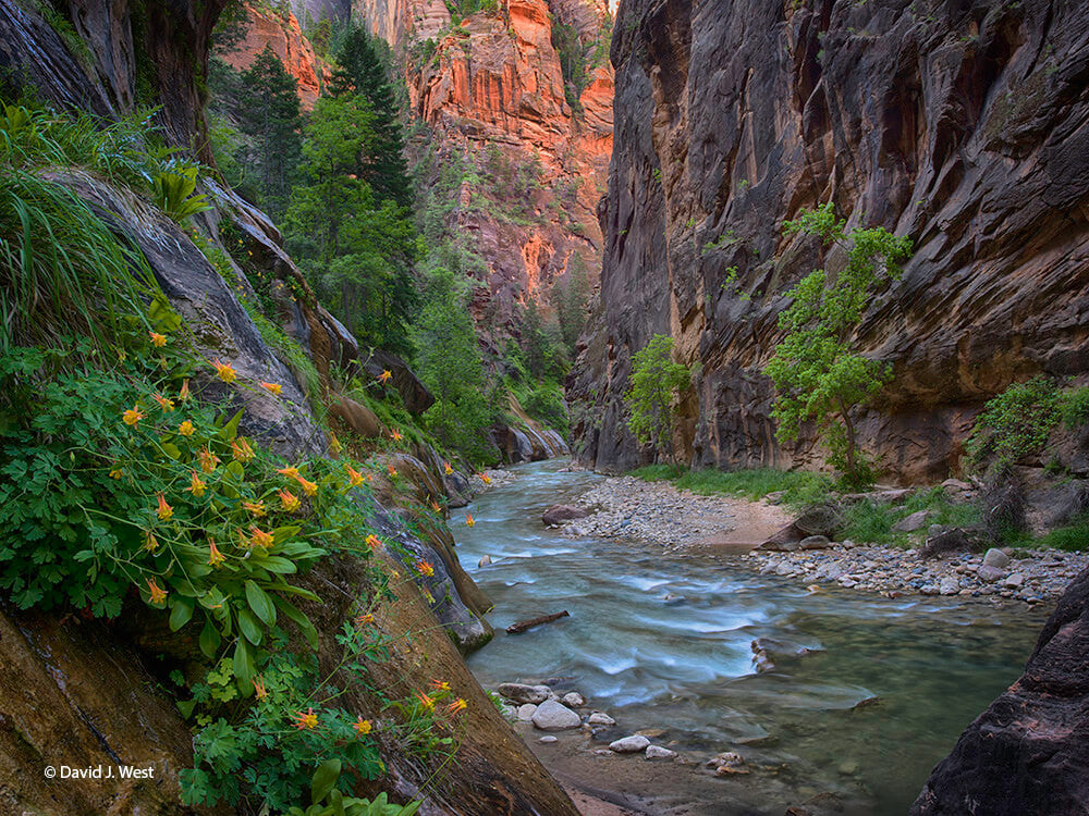 NARROWS SPRING – David J. West Gallery